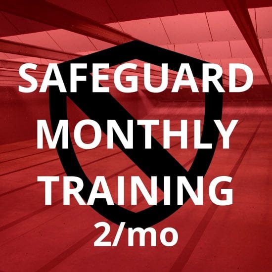 Safeguard 1 Session /month - Personal Protection | 4Ward Defense